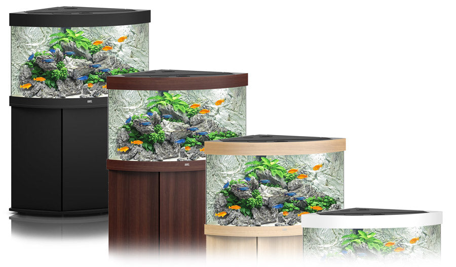 Choosing The Right Aquarium For You - 7 Considerations – Aquacadabra