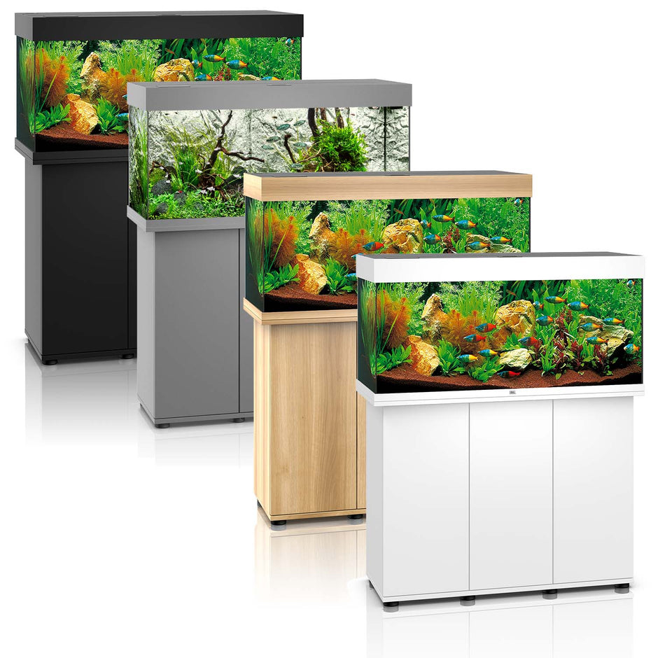 Large Fish Tanks | 100L Aquariums | Aquacadabra