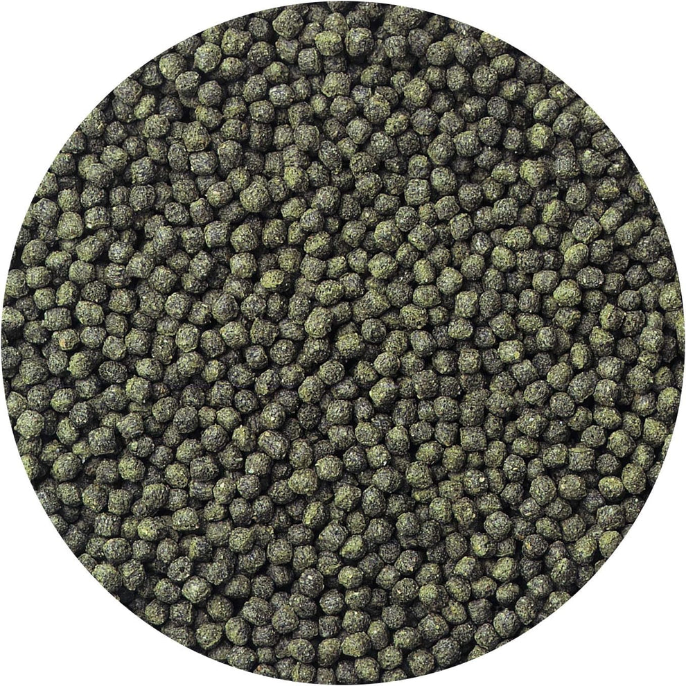 Hikari Cichlid Excel Floating Mini Pellet | From Aquacadabra