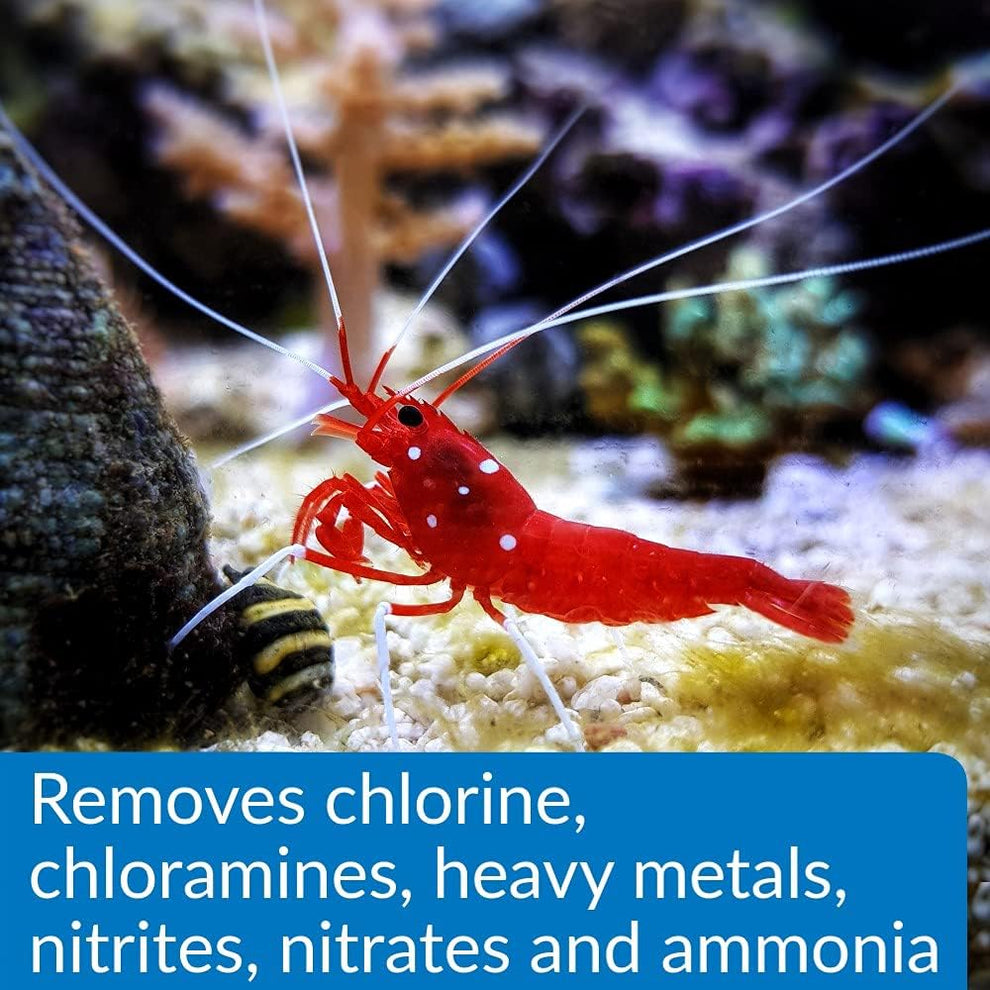 API Aqua Essential Water Conditioner | from Aquacadabra