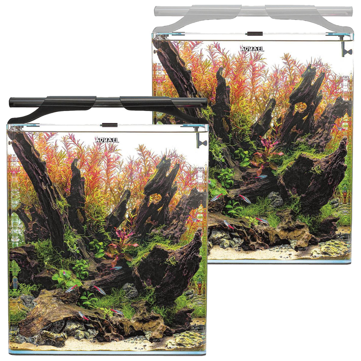 Aquael Optibent 70 Aquarium | from Aquacadabra