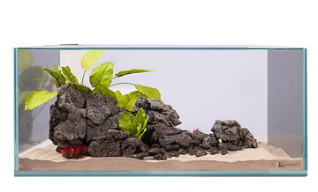 60 Litre Fish Tanks | Medium-sized Aquariums | Aquacadabra