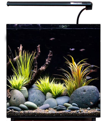20 Litre Fish Tanks | Small Aquariums | Aquacadabra