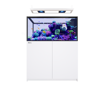 Red Sea Aquariums | Red Sea Max, Nano & More | Aquacadabra