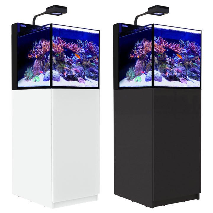 20 Gallon Fish Tanks | 20G Medium Aquariums | Aquacadabra