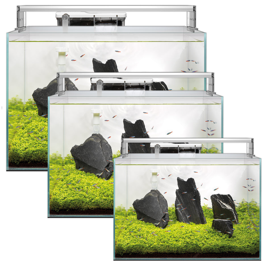 60 Litre Fish Tanks | Medium-sized Aquariums | Aquacadabra