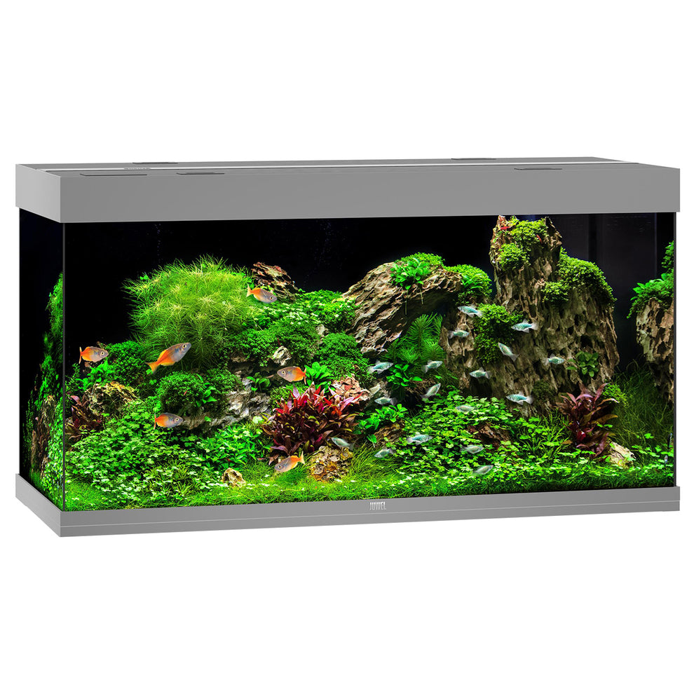 Juwel Rio 350 LED Aquarium | Large Fish Home | Top Quality – Aquacadabra