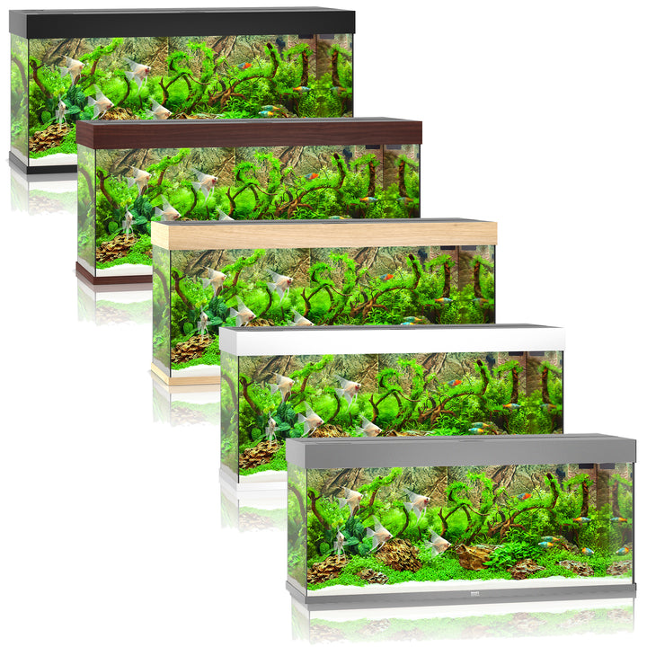 Large Fish Tanks | 100L Aquariums | Aquacadabra