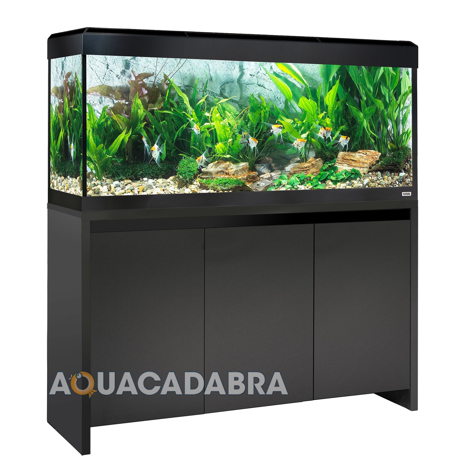 Fluval Roma 240 Litre Aquarium – Now Comes in Grey – Aquacadabra