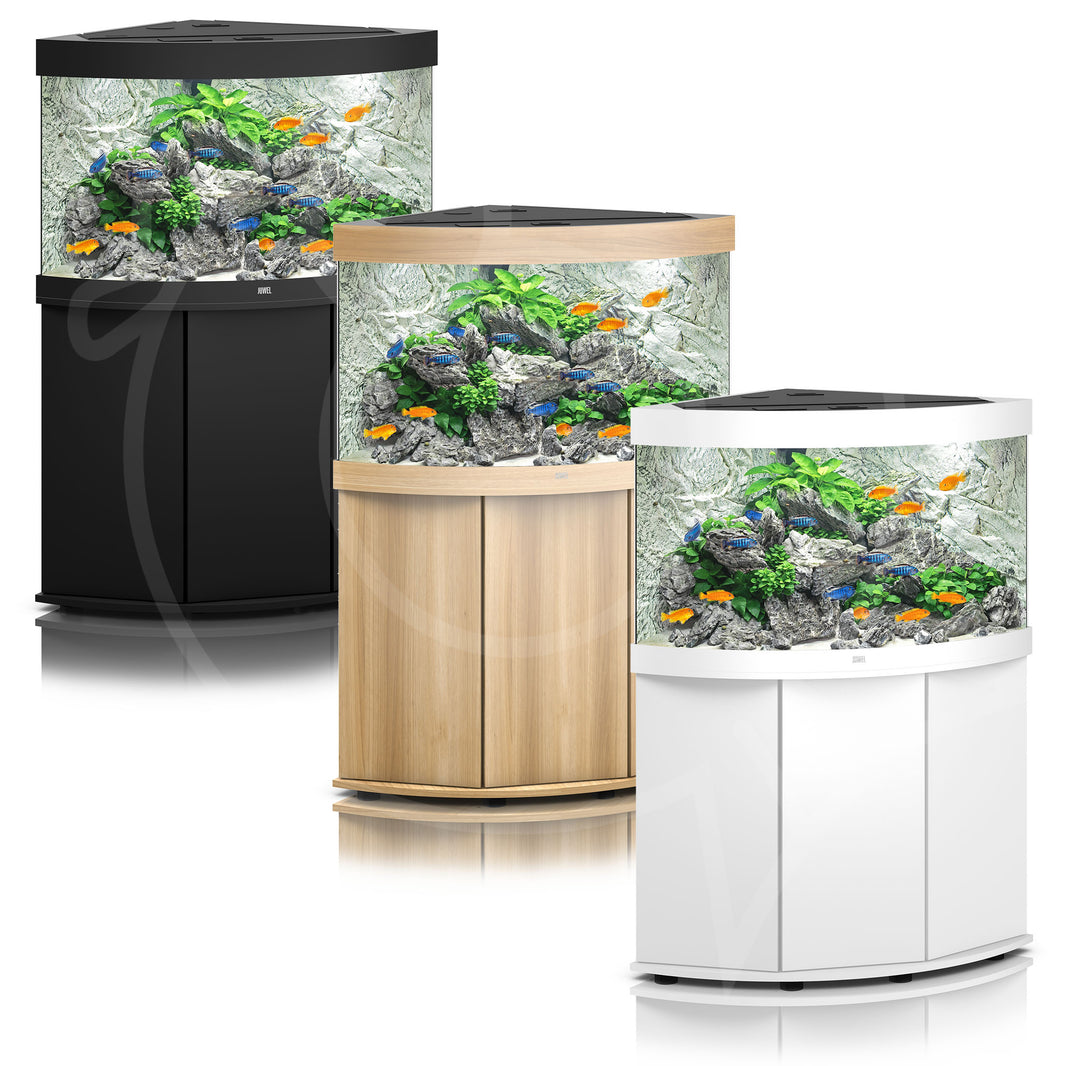 Corner Fish Tanks | Aquarium Cabinets | Aquacadabra