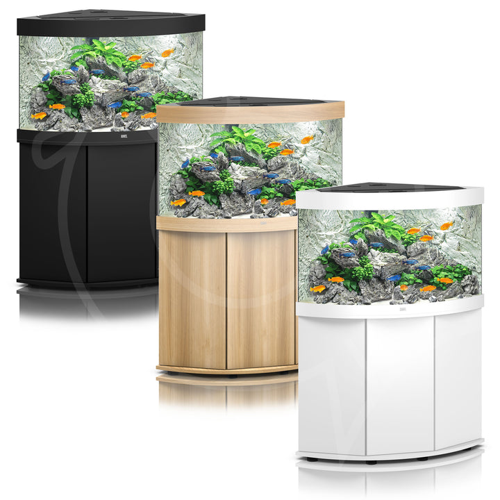 Corner Aquariums | Corner Fish Tanks | Aquacadabra