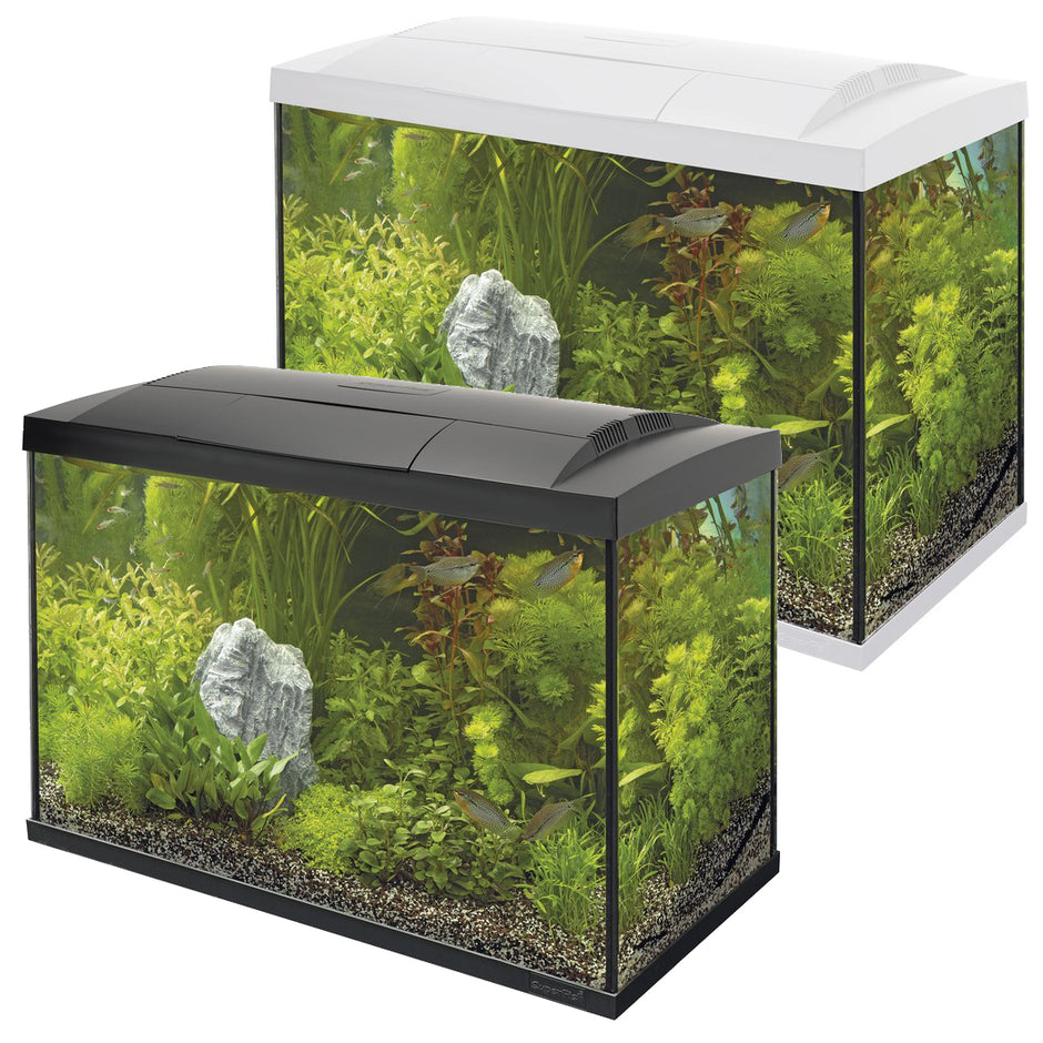 Superfish Aquariums | Aquarium Stands & Kits | Aquacadabra