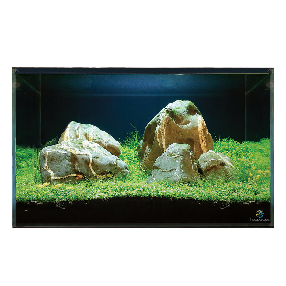 90 Litre Fish Tanks | Medium-sized Aquariums | Aquacadabra