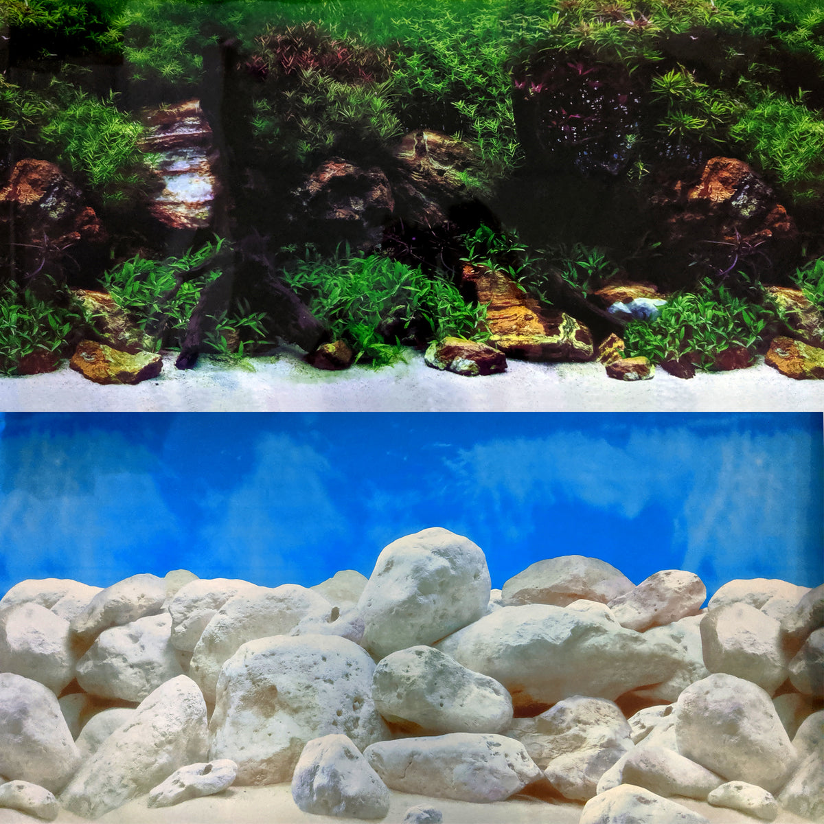 Repeating Double Aquascape Background | from Aquacadabra