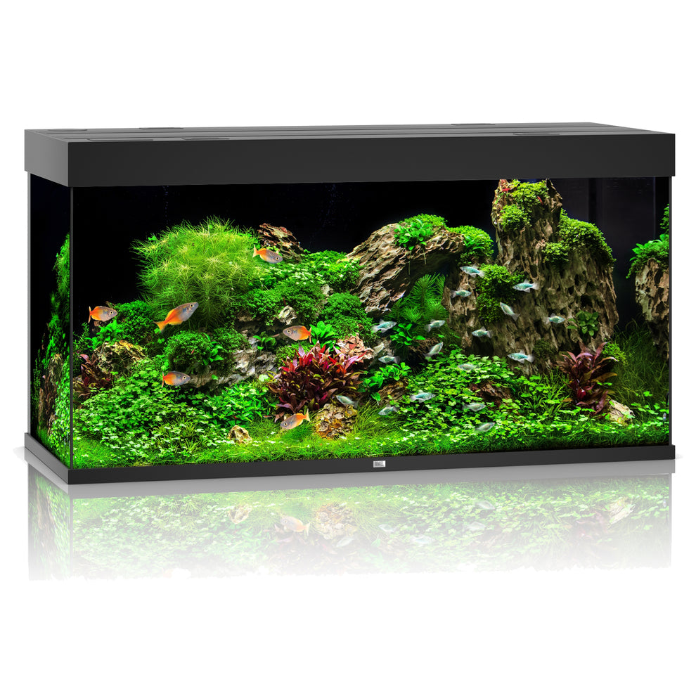 Juwel Rio 350 LED Aquarium | Large Fish Home | Top Quality – Aquacadabra