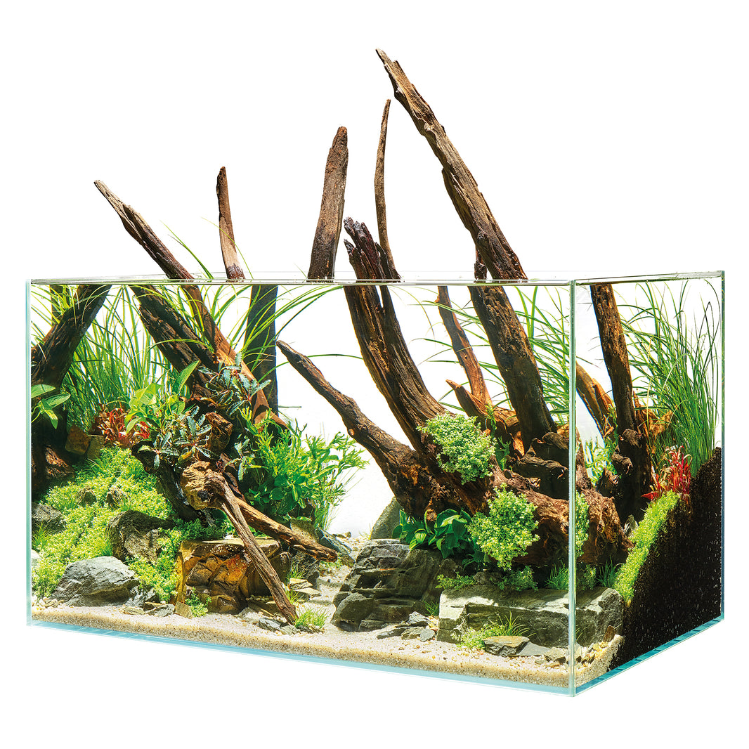 70 Litre Fish Tanks | Medium-sized Aquariums | Aquacadabra