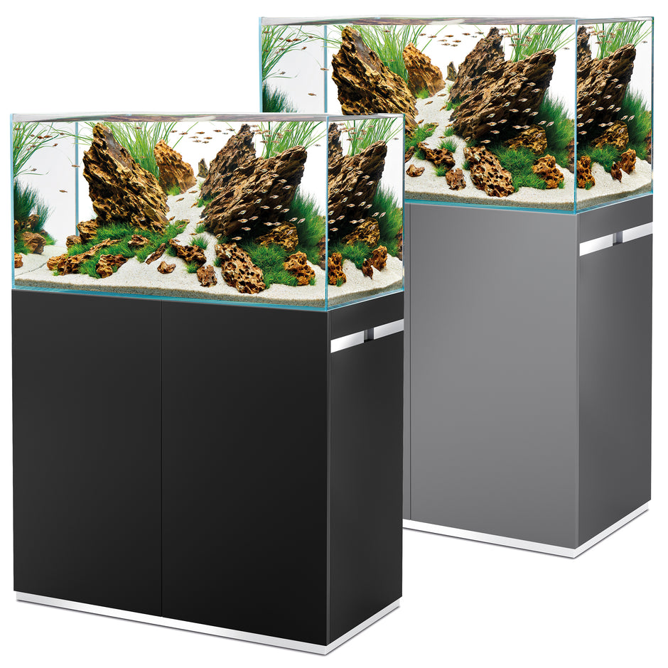 40 Gallon Fish Tanks | Large 40G Aquariums | Aquacadabra