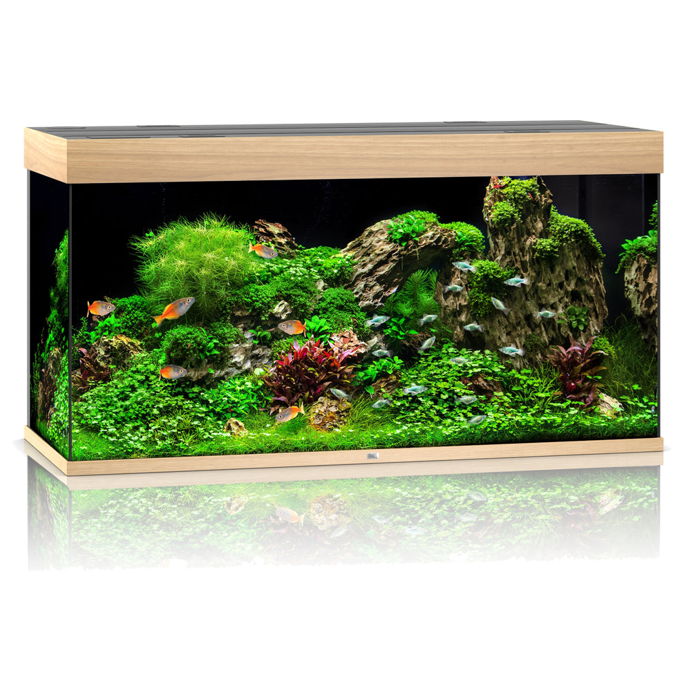 Juwel Rio 350 LED Aquarium | Large Fish Home | Top Quality – Aquacadabra