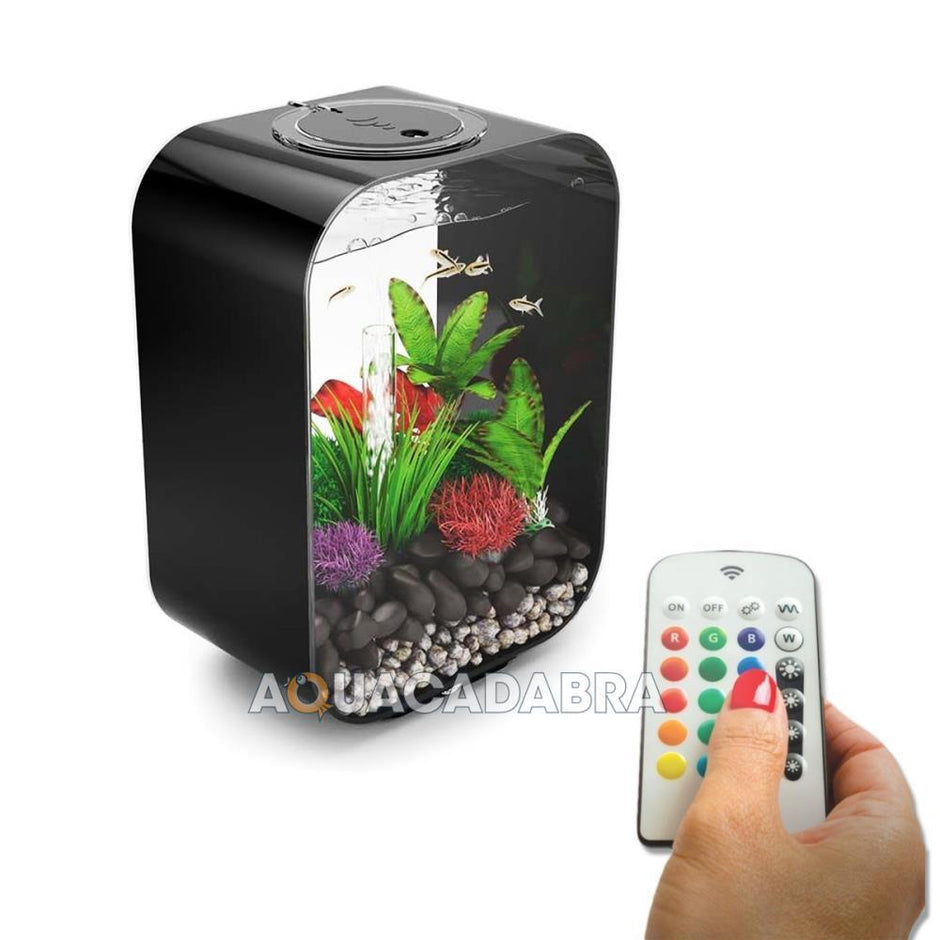 10 Litre Fish Tanks | Small Fish Tanks | Aquacadabra