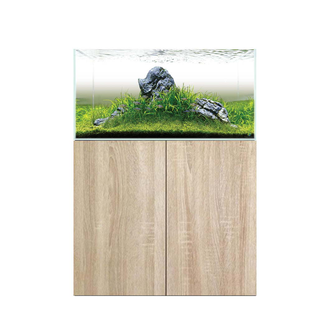 40 Gallon Fish Tanks | Large 40G Aquariums | Aquacadabra