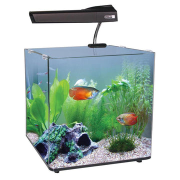 60 Litre Fish Tanks | Medium-sized Aquariums | Aquacadabra