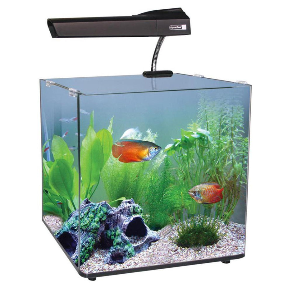 60 Litre Fish Tanks | Medium-sized Aquariums | Aquacadabra