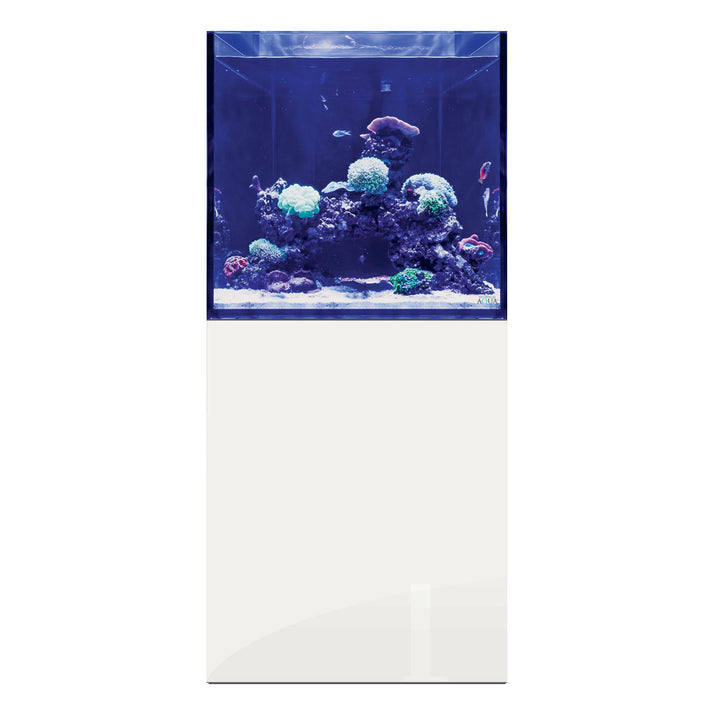 40 Gallon Fish Tanks | Large 40G Aquariums | Aquacadabra