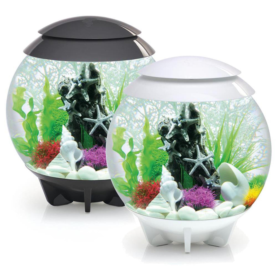 20 Litre Fish Tanks | Small Aquariums | Aquacadabra