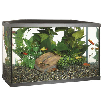 30 Litre Fish Tanks | Small 30L Aquariums | Aquacadabra