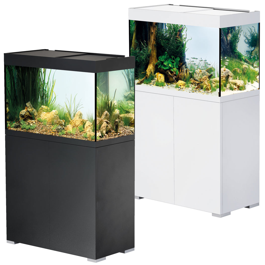 40 Gallon Fish Tanks | Large 40G Aquariums | Aquacadabra