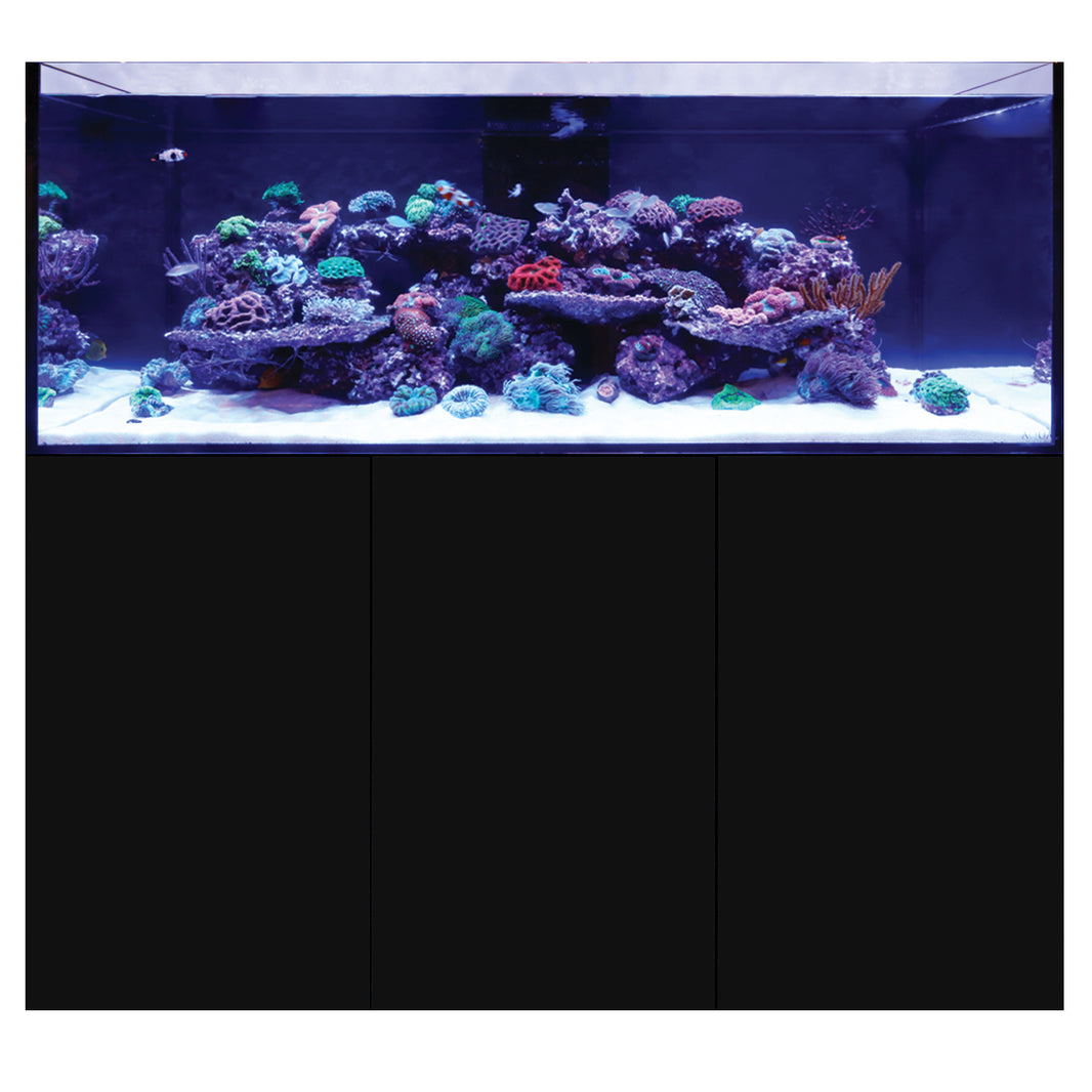 500 Litre Fish Tanks | Extra Large Aquariums | Aquacadabra