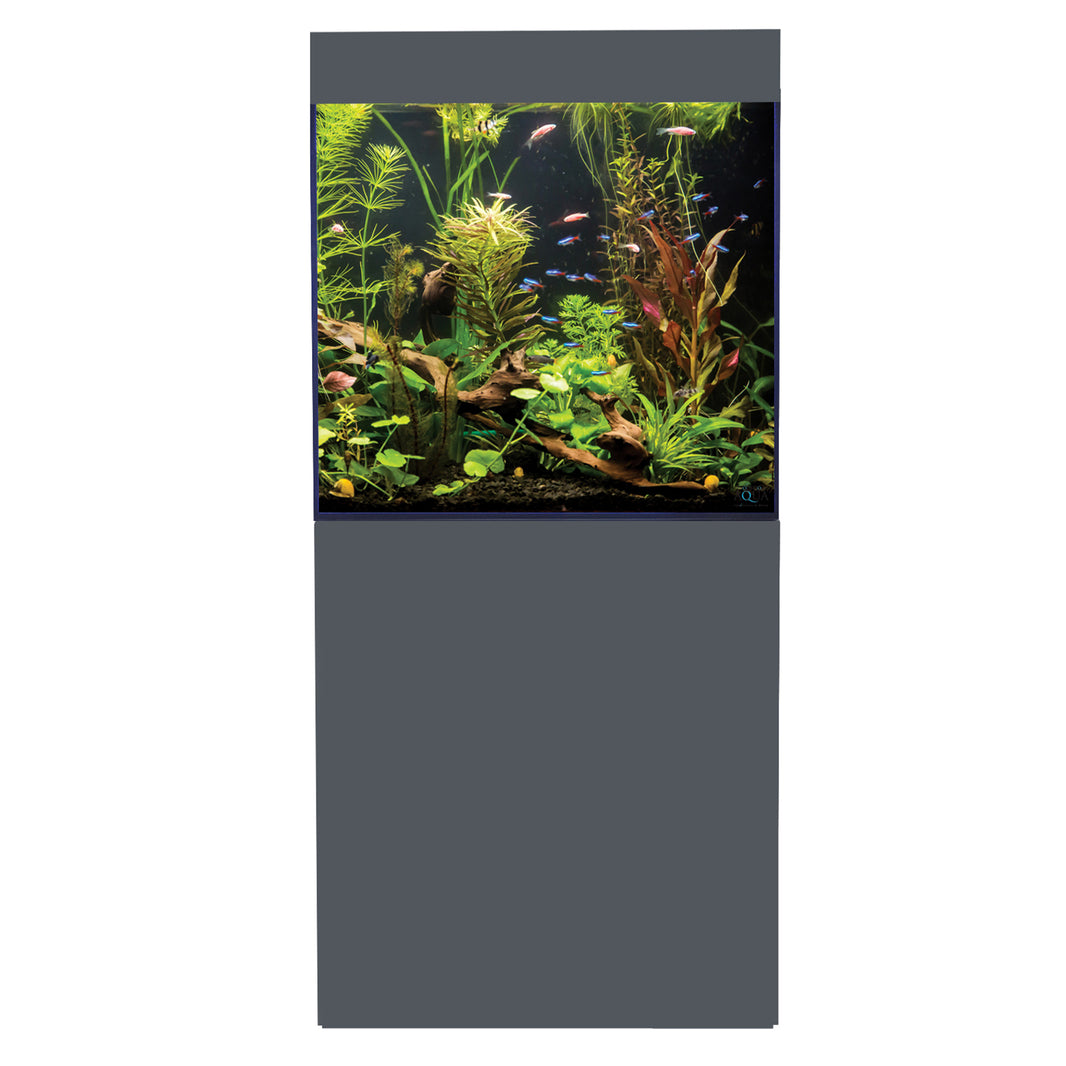 40 Gallon Fish Tanks | Large 40G Aquariums | Aquacadabra